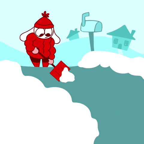 Snow Day GIF by BuzzFeed Japan - Find & Share on GIPHY