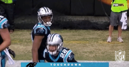 Carolina Panthers Football GIF by NFL - Find & Share on GIPHY