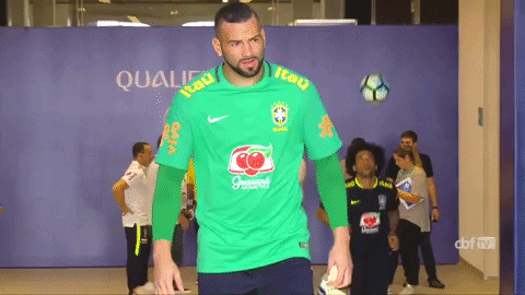 National Team Football GIF by Confederação Brasileira de Futebol - Find ...