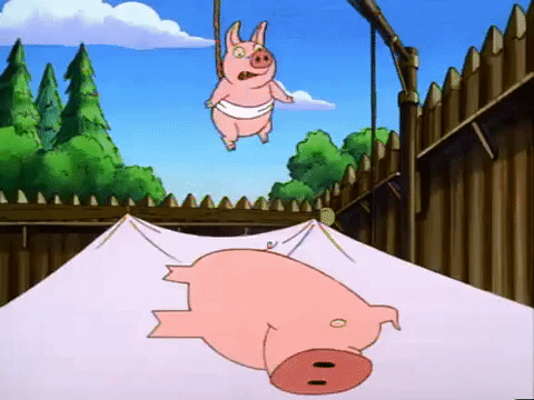 Phoebe Takes the Fall & The Pig War GIFs - Find & Share on GIPHY