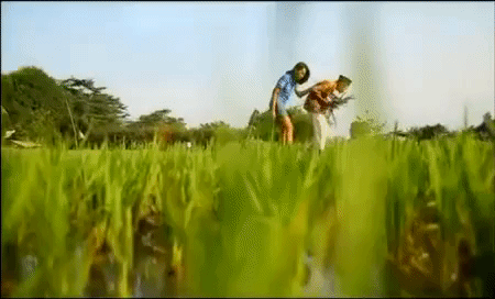 Petani GIFs - Get the best GIF on GIPHY