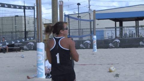 Beach Volleyball GIF by GreenWave - Find & Share on GIPHY