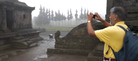 Kamera GIFs - Get the best GIF on GIPHY