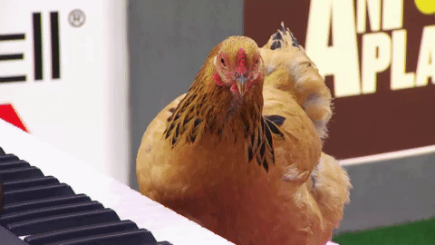 GIF by Puppy Bowl - Find & Share on GIPHY