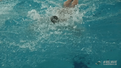 Fly Swimming GIF by GreenWave - Find & Share on GIPHY
