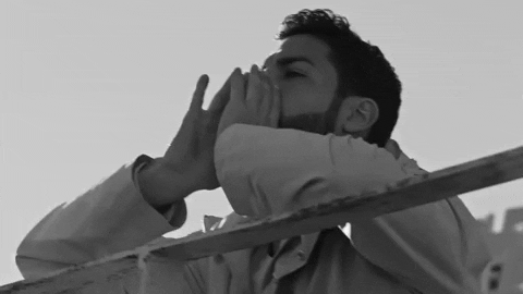 adidas GIF - Find & Share on GIPHY
