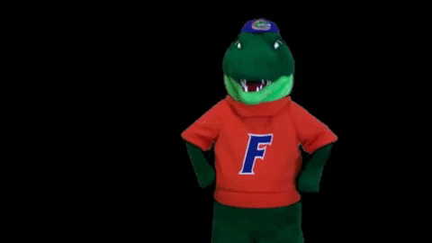 Albert Gator What GIF by Florida Gators - Find & Share on GIPHY