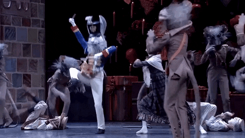 Royal Opera House GIF - Find & Share on GIPHY
