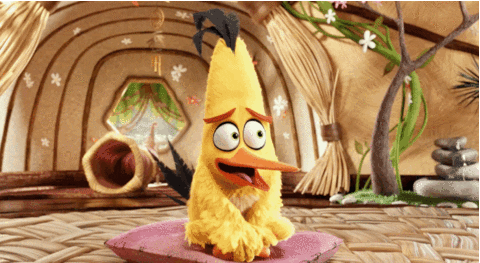 The Angry Birds Movie Chuck GIF by Angry Birds - Find & Share on GIPHY