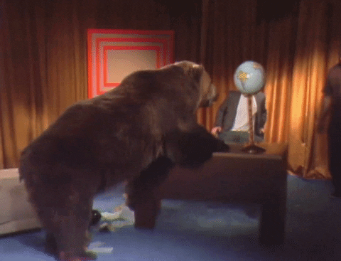 Bear Attack GIF by The Eric Andre Show - Find & Share on GIPHY