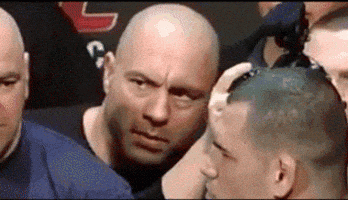 Face Off Ufc GIF - Find & Share on GIPHY