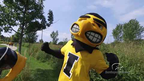 Soccer GIF by University of Iowa Hawkeyes Athletics - Find & Share on GIPHY