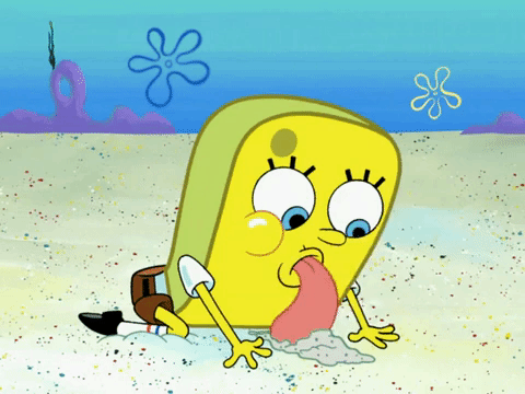 Season 6 GIF by SpongeBob SquarePants - Find & Share on GIPHY