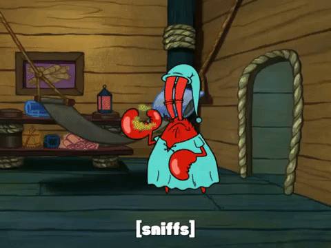Season 7 Growth Spout GIF by SpongeBob SquarePants - Find & Share on GIPHY