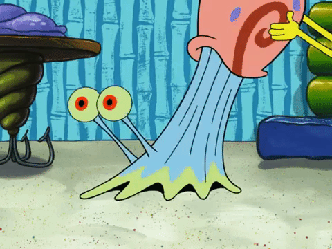 Season 6 Squid'S Visit GIF by SpongeBob SquarePants - Find & Share on GIPHY