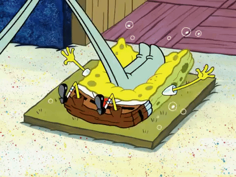 Season 6 Squid'S Visit GIF by SpongeBob SquarePants - Find & Share on GIPHY