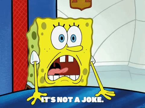 Season 5 GIF by SpongeBob SquarePants - Find & Share on GIPHY