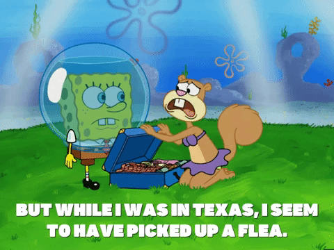 Season 5 Episode 10 GIF by SpongeBob SquarePants - Find & Share on GIPHY