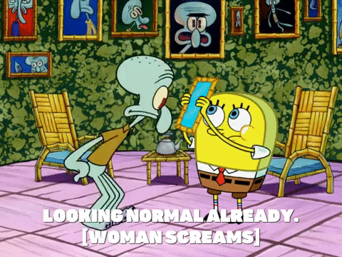 Season 6 GIF by SpongeBob SquarePants - Find & Share on GIPHY