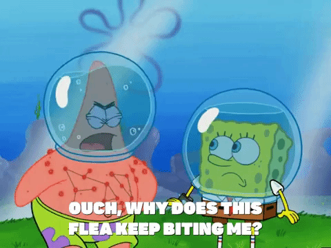 Season 5 Episode 10 GIF by SpongeBob SquarePants - Find & Share on GIPHY