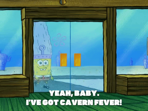 Season 6 Episode 25 GIF by SpongeBob SquarePants - Find & Share on GIPHY