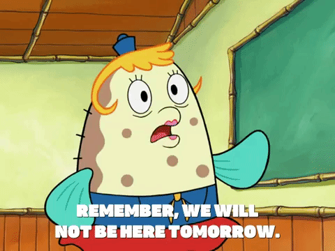 Season 6 Penny Foolish GIF by SpongeBob SquarePants - Find & Share on GIPHY