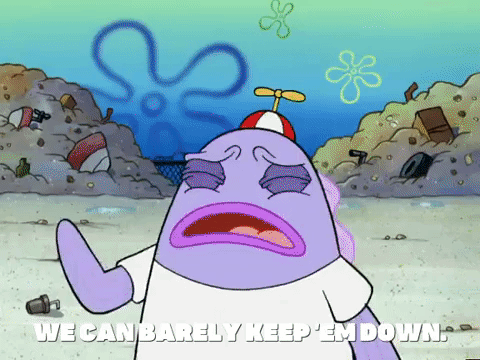 Season 5 GIF by SpongeBob SquarePants - Find & Share on GIPHY