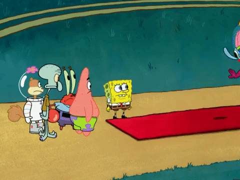 Season 5 GIF by SpongeBob SquarePants - Find & Share on GIPHY