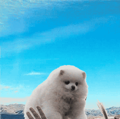 Dog Moon GIF by Njorg - Find & Share on GIPHY