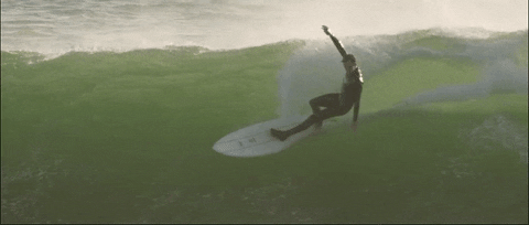 Surf Surfing GIF by David - Find & Share on GIPHY