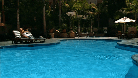 Pool GIF by The Hills - Find & Share on GIPHY