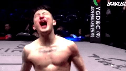 Knock Out Mma GIF - Find & Share on GIPHY