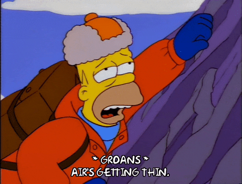 Homer Simpson GIF - Find & Share on GIPHY