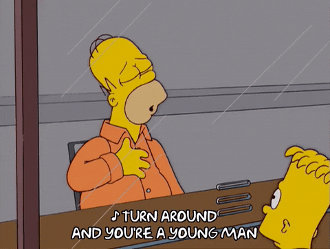 Talking Homer Simpson GIF - Find & Share on GIPHY
