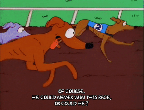 Season 6 Episode 20 GIF - Find & Share on GIPHY