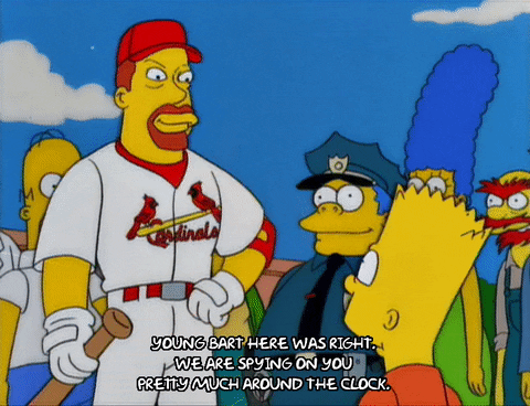 Homer Simpson Baseball GIF - Find & Share on GIPHY