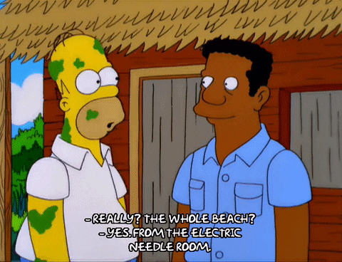 Talking Homer Simpson GIF - Find & Share on GIPHY