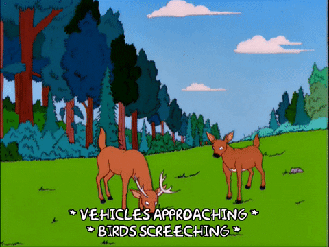 Habitat Destruction GIFs - Get the best GIF on GIPHY