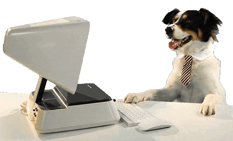 Dog Working Sticker by Barnaby for iOS & Android | GIPHY