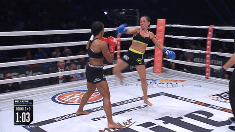 Fight Lol GIF by Bellator - Find & Share on GIPHY