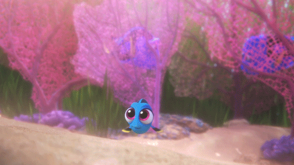 Finding Dory GIF by Disney/Pixar's Finding Dory - Find & Share on GIPHY