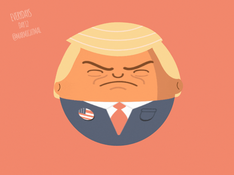 2D Donald Trump : r/HighQualityGifs