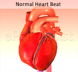 Normal Heart Beat GIFs - Find & Share on GIPHY