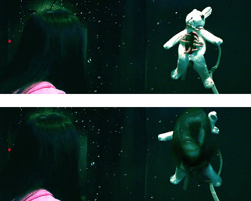 Horror Surprise GIF by Shudder - Find & Share on GIPHY