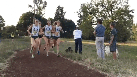 Track And Field Running GIF by RunnerSpace.com - Find & Share on GIPHY
