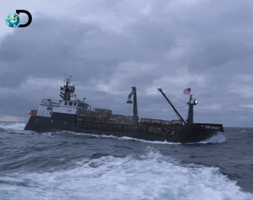 Discovery LA GIF - Find & Share on GIPHY