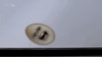 #Loop #Fall GIF by PrimeGlitz - Find & Share on GIPHY