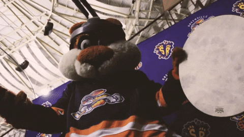 GIF by Greenville Swamp Rabbits - Find & Share on GIPHY