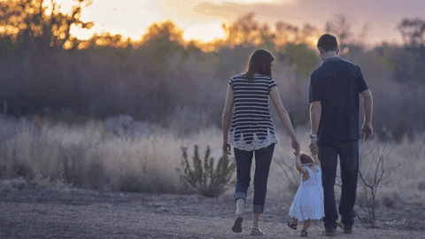 Rewire.org GIF - Find & Share on GIPHY