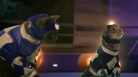 Mad Cat GIF by Power Rangers - Find & Share on GIPHY